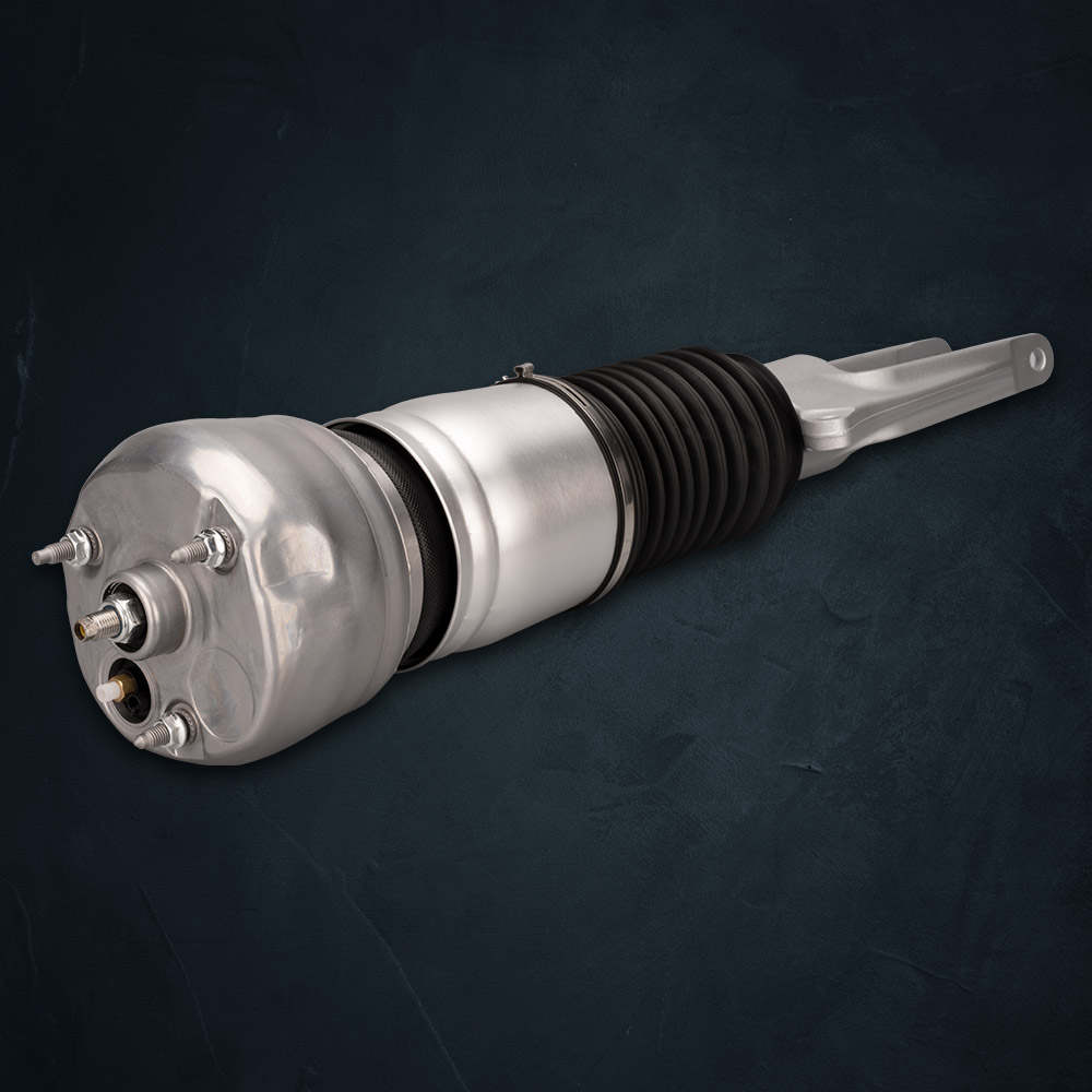 Suspension Strut compatible for Porsche 970 Panamera front Left ...
