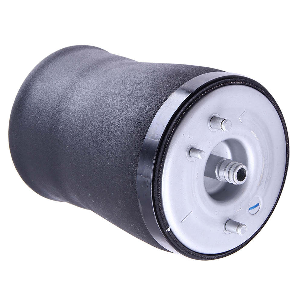 Air Suspension Spring Bag Strut Rear Left compatible for BMW E53 X5 3 ...
