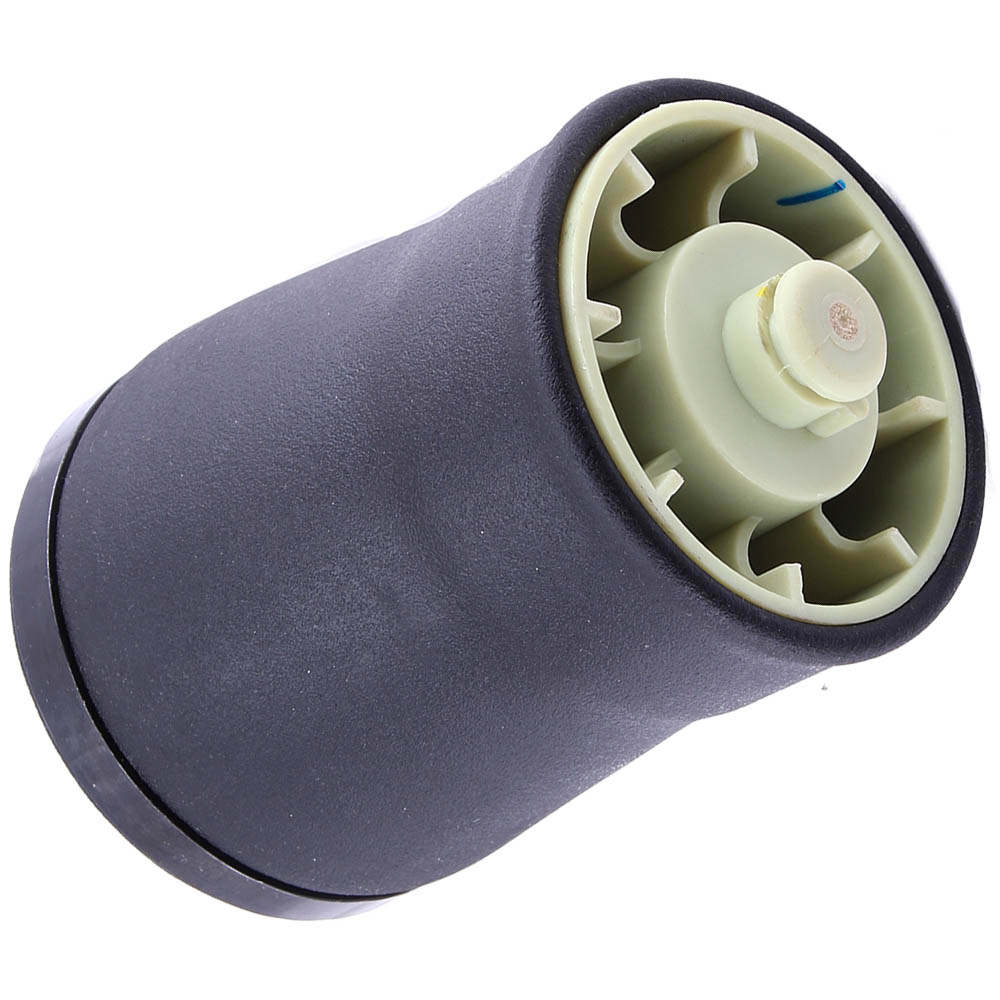 Air Suspension Spring Bag Strut Rear Left compatible for BMW E53 X5 3 ...