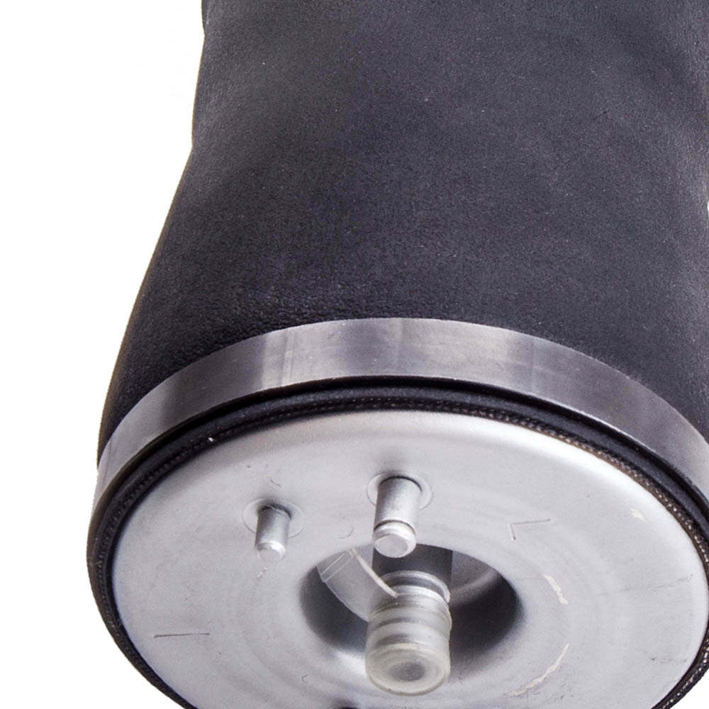Air Suspension Spring Bag Strut Rear Left compatible for BMW E53 X5 3 ...